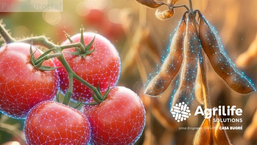 Agrilife Solutions lidera a 4ª geração da nutrição vegetal com AgGranum ...